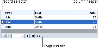 Data Records and Grids